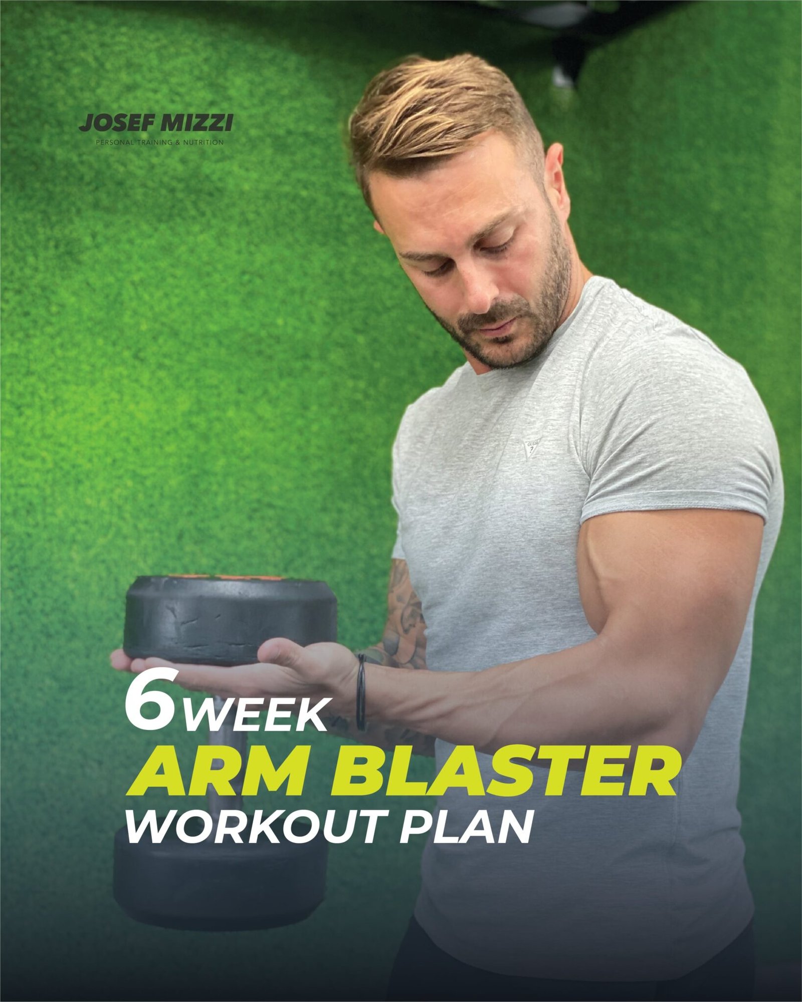 6 Week Arm Blaster Workout Plan - Josef Mizzi